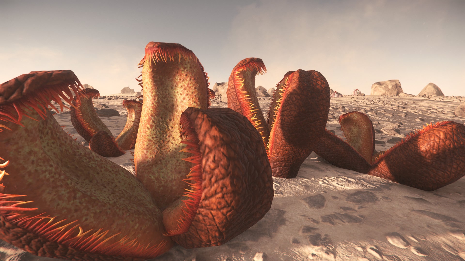 A_BIOMES - NOVA Intergalactic